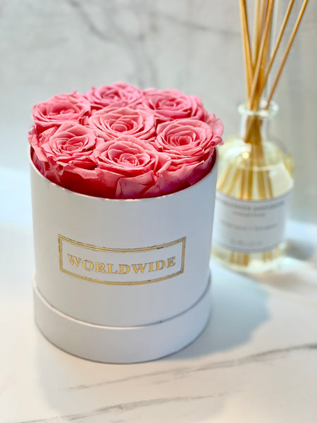 Japanese Honeysuckle diffuser – Worldwide Lashes