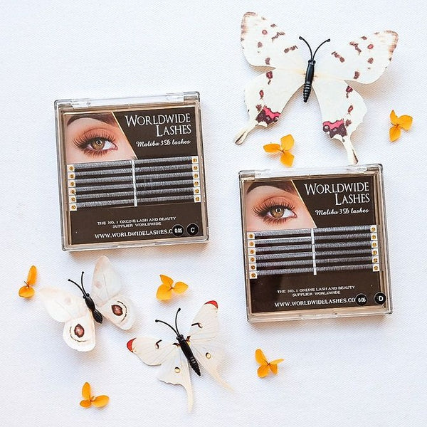 Malibu 3D lashes | D curl – Worldwide Lashes